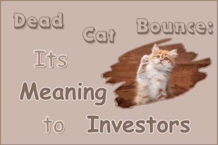 Dead Cat Bounce: Its Meaning to Investors - Dividend Power