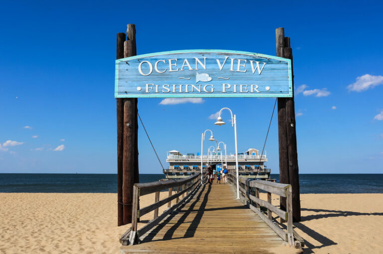 The 11 Best Beaches in Virginia to Visit this Summer - Dividend Power