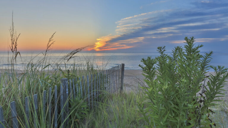 These 10 Best Beaches in Delaware Are Beautiful - Dividend Power