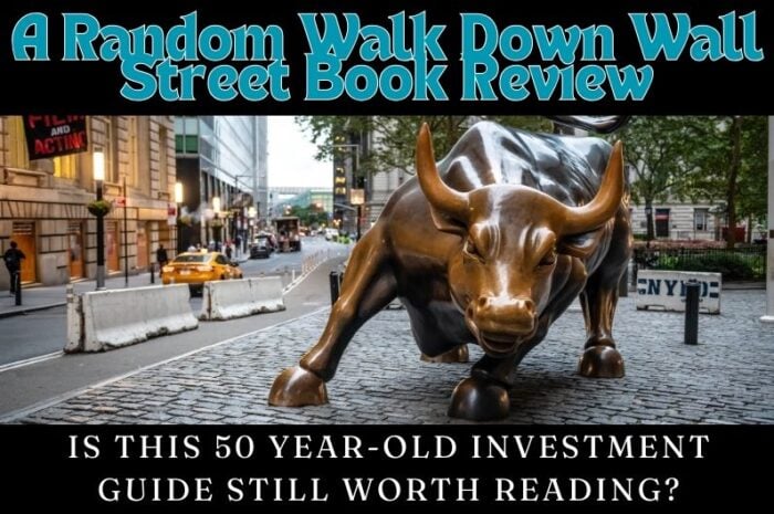 A Random Walk Down Wall Street Book Review: Is This 50 Year-Old ...